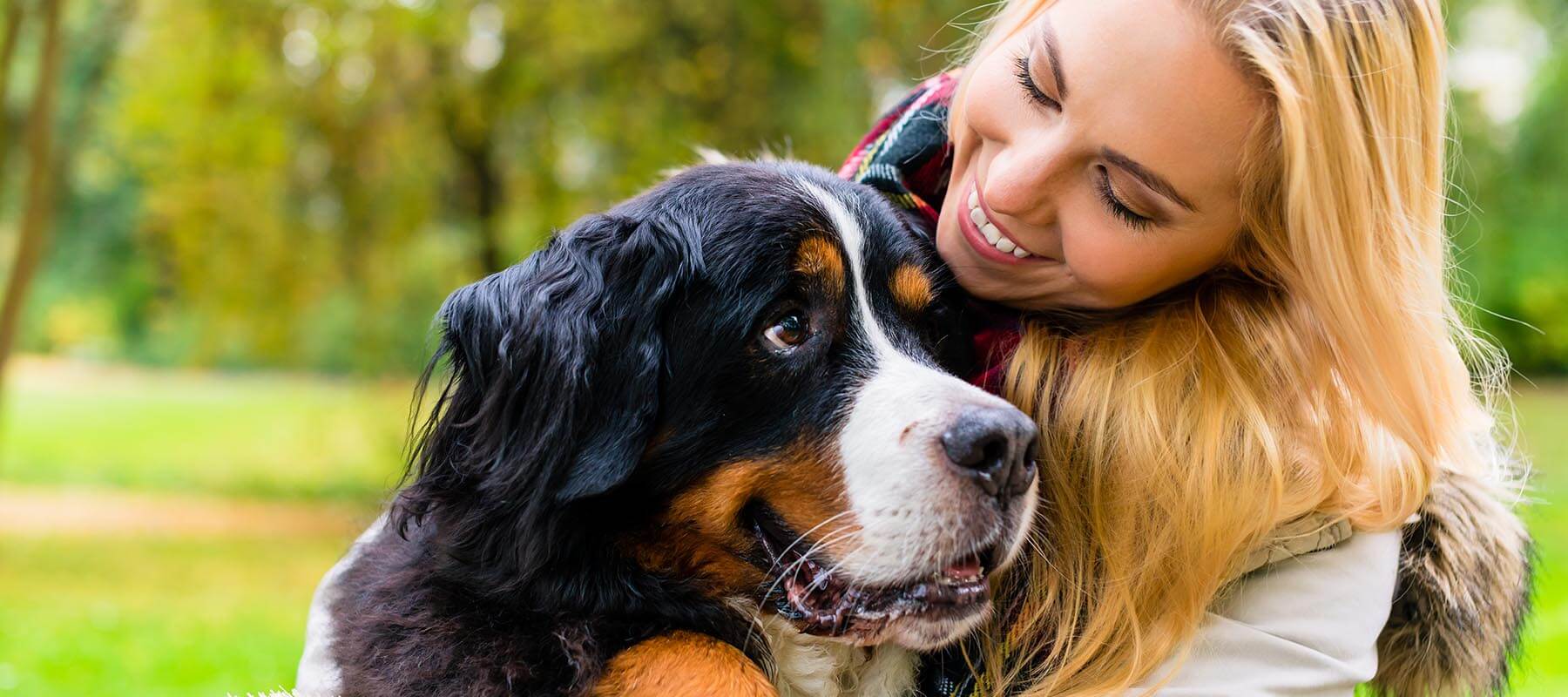 How to Socialize Your Puppy To Be a Great Dog - Perfect Match Puppy